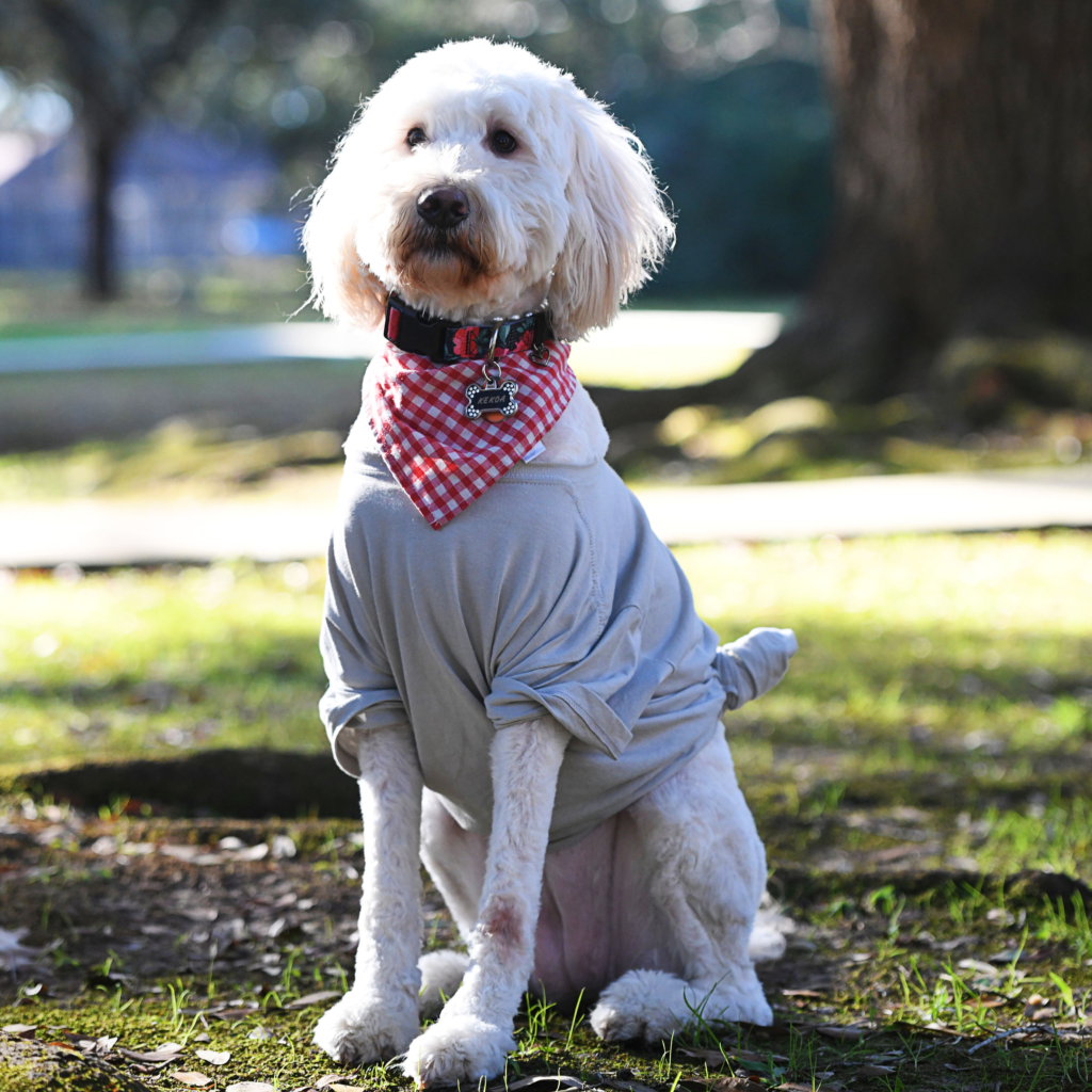 About - Mundy Legal Services, PLLC