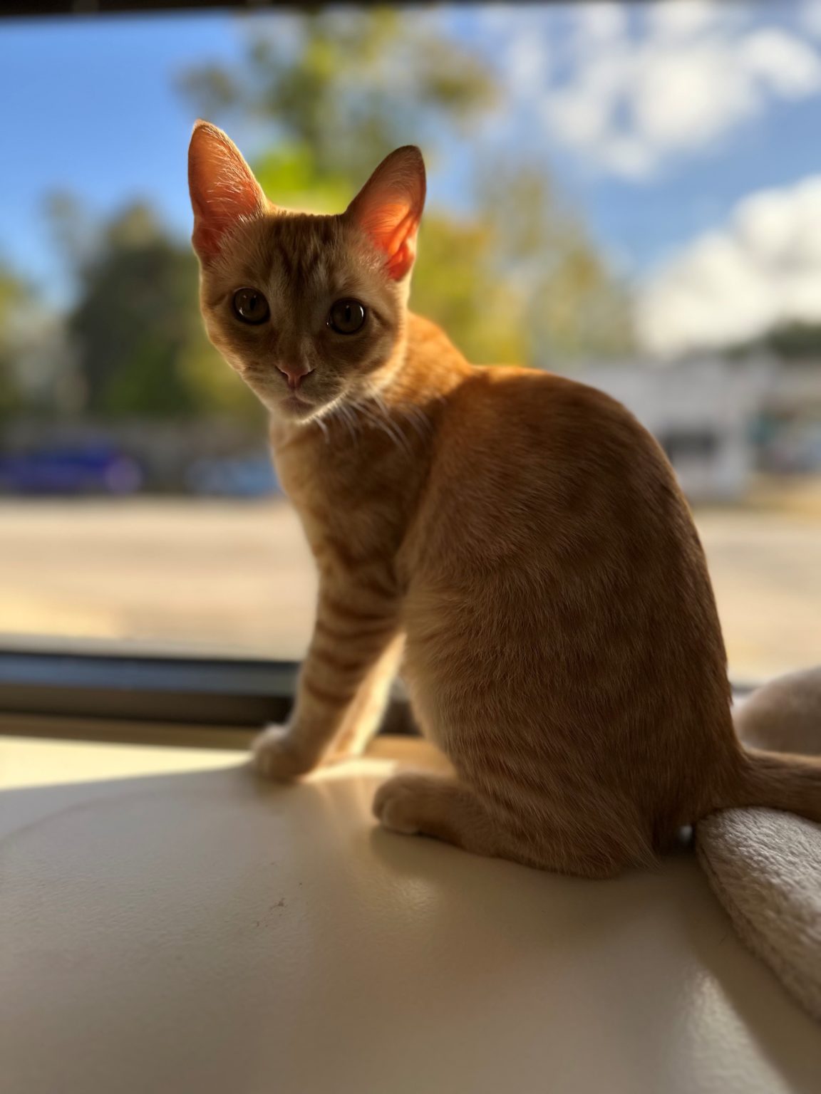 About - Mundy Legal Services, PLLC